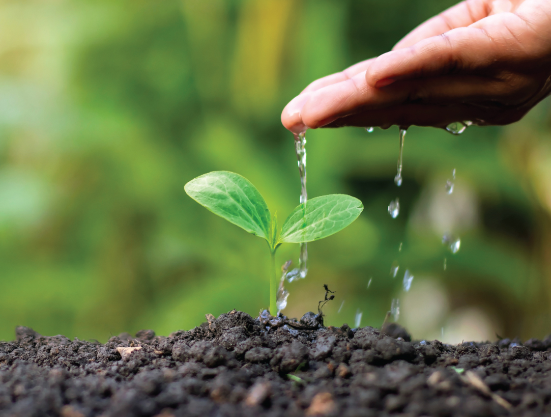 Water Positive Opportunities - Alejandro Sturniolo - Aqua Positive