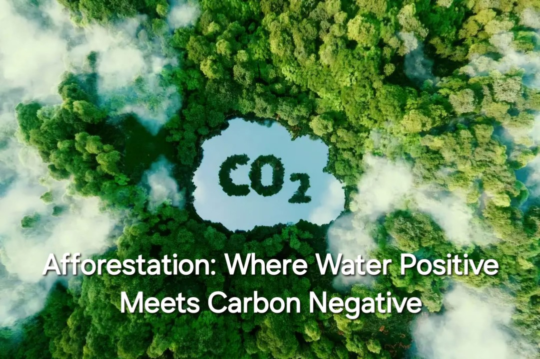 Water Reuse Afforestation by the Numbers: A Water Positive and Carbon ...