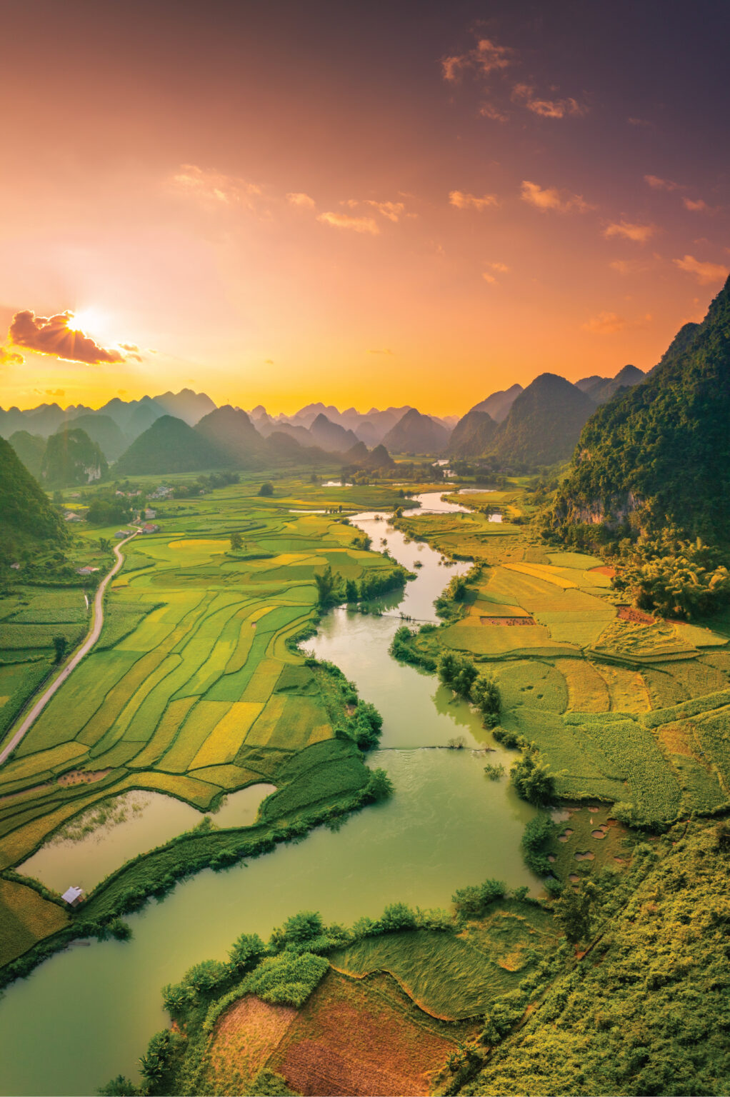 Develop a Project - Aqua Positive